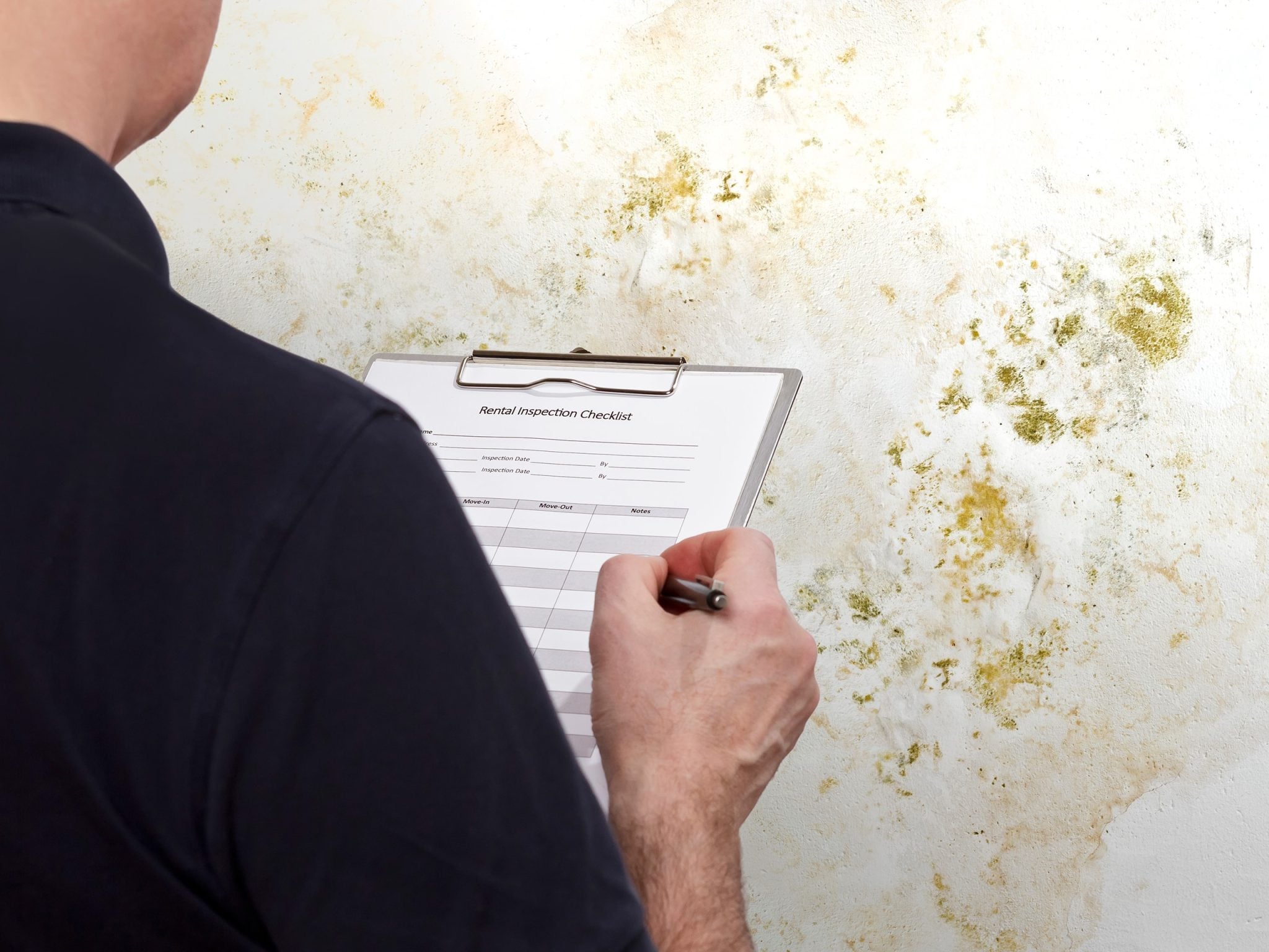 Mold Growth After Water Damage: Strategies for Remediation