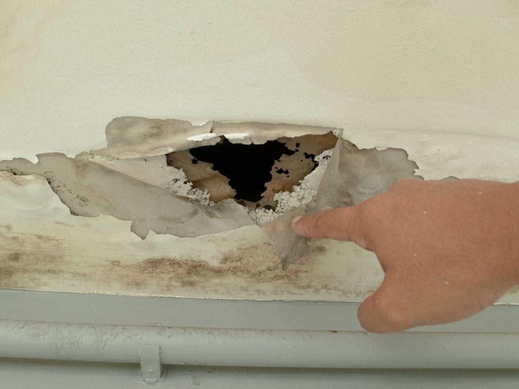 7 Secondary Effects of Water Damage and How to Address Them | BluSky